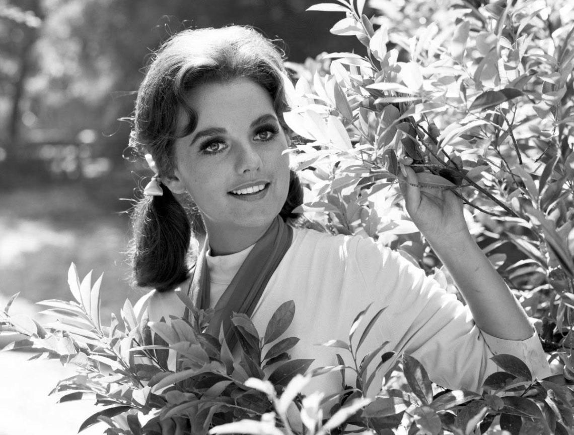Dawn Wells Biography | Career | Net Worth 2021 | Age, Death, Movies